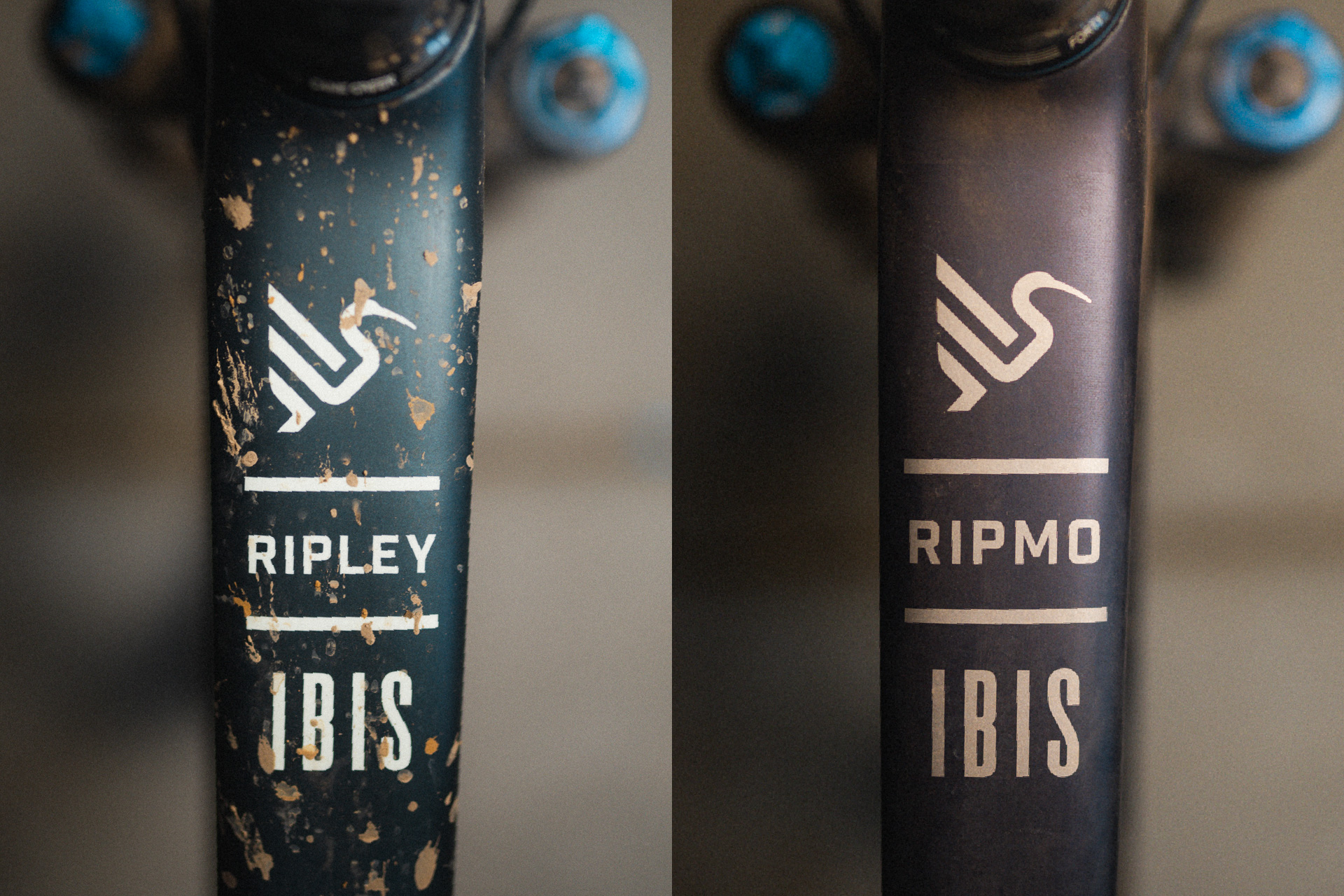 Ibis Ripley vs Ripmo: Different Enough? - BIKER'S EDGE